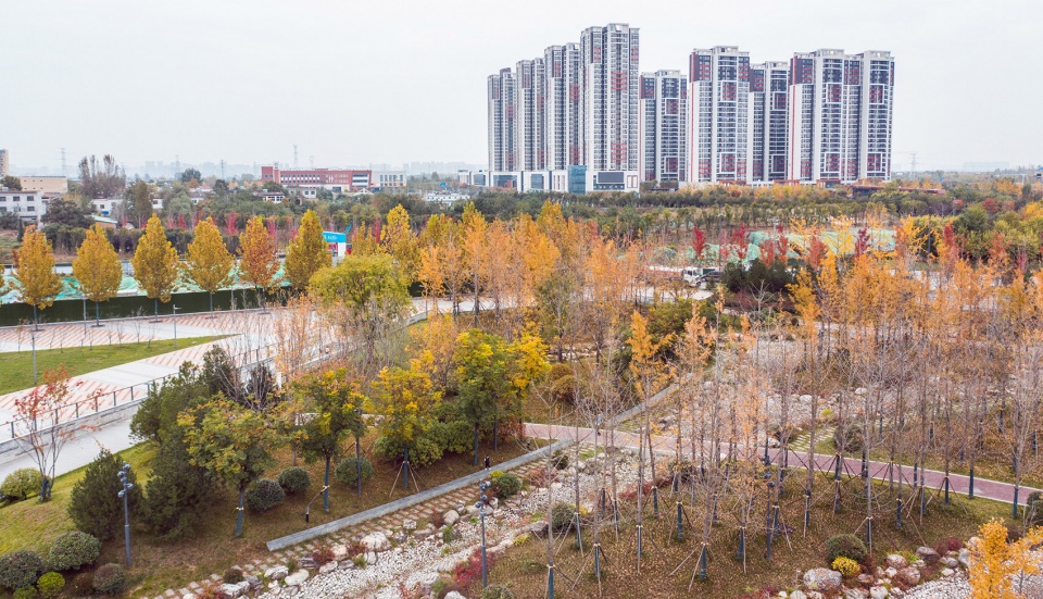 Ecological Wetland Sports Health Park of Sha River Corridor in Xixian ...
