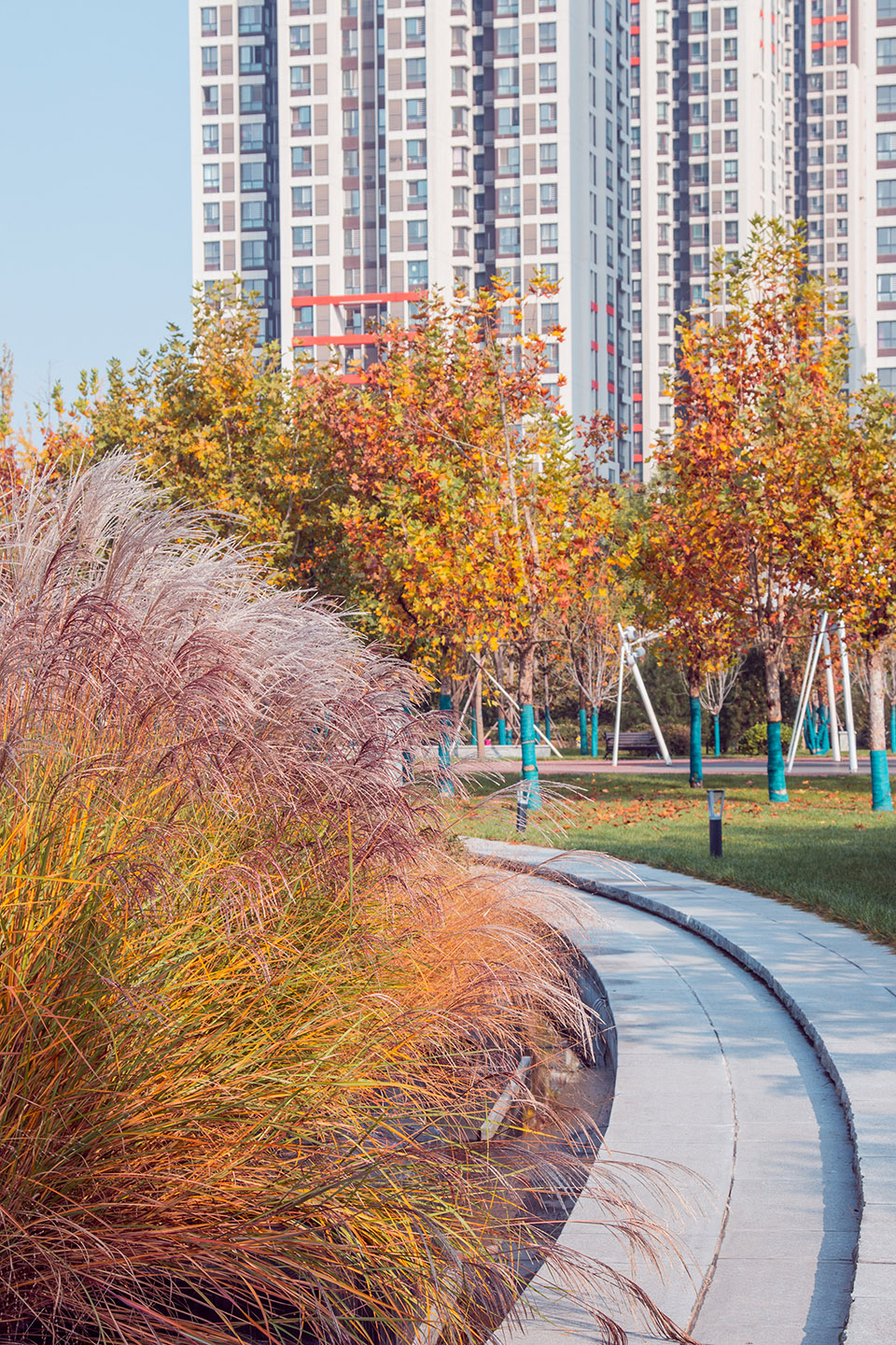 Ecological Wetland Sports Health Park of Sha River Corridor in Xixian ...