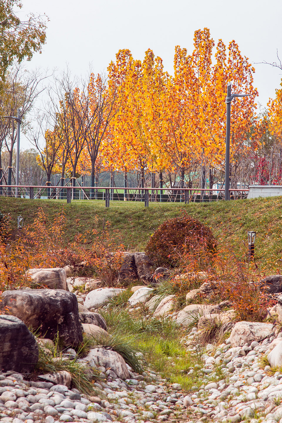 Ecological Wetland Sports Health Park of Sha River Corridor in Xixian ...