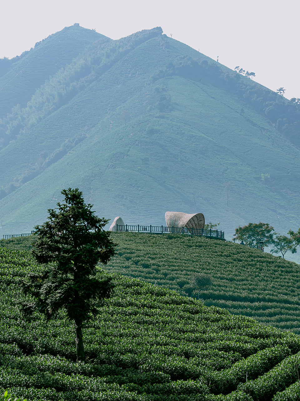 Anji Sight-viewing Platform and Tea House, China by HATCH Architects ...