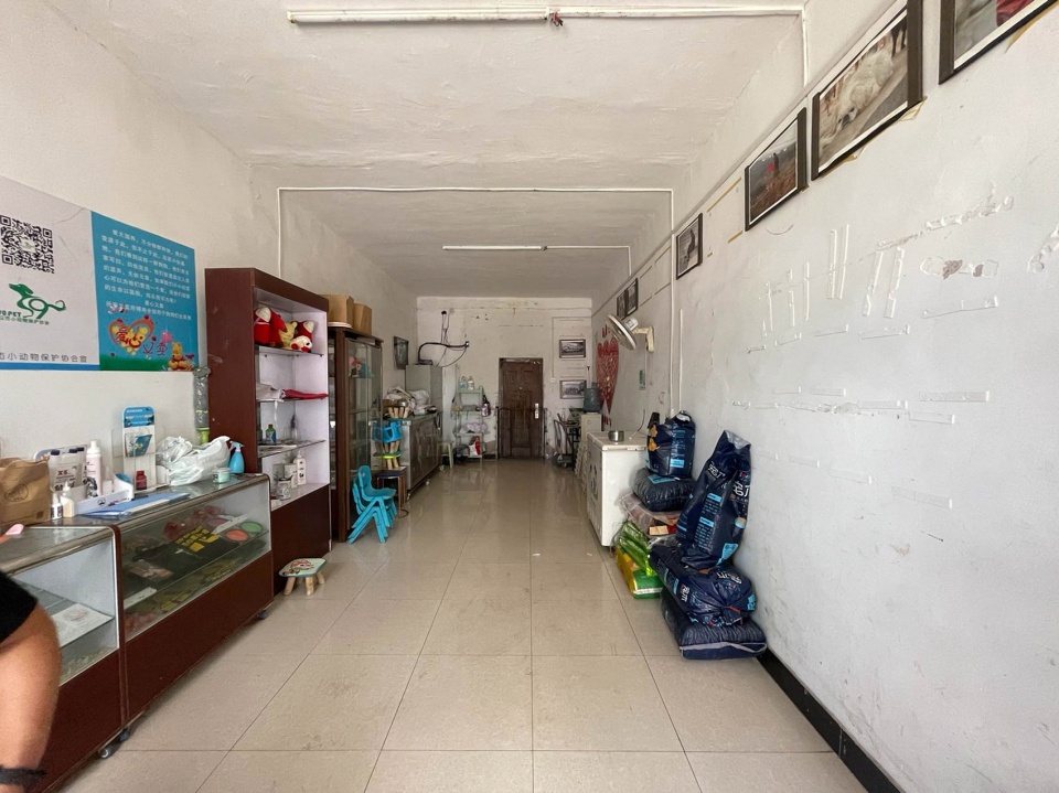 Reconstruction design of Wuhan stray animal base adoption area, China ...