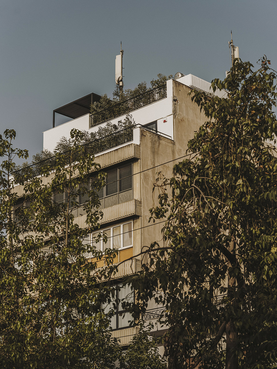 10AM Lofts – Events Space and Penthouse by Studio Andrew Trotter ...