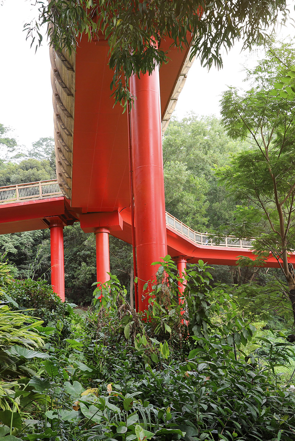 Jianghai Cloud Bridge, China by T. Y. Lin International Engineering ...