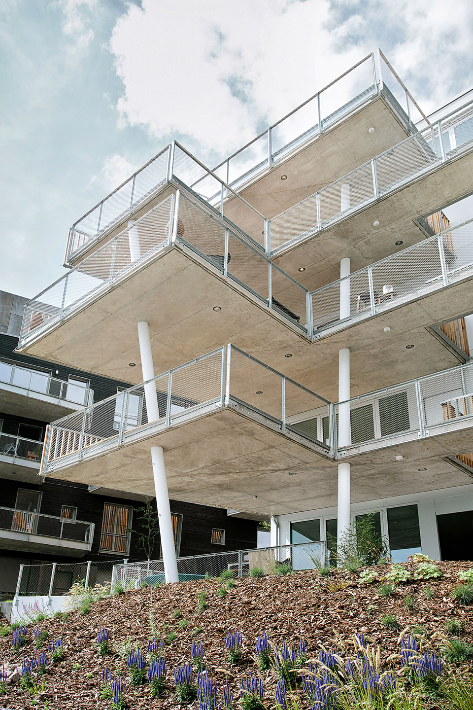 Footbridge on the water by LOVE architecture and urbanism - 谷德设计网