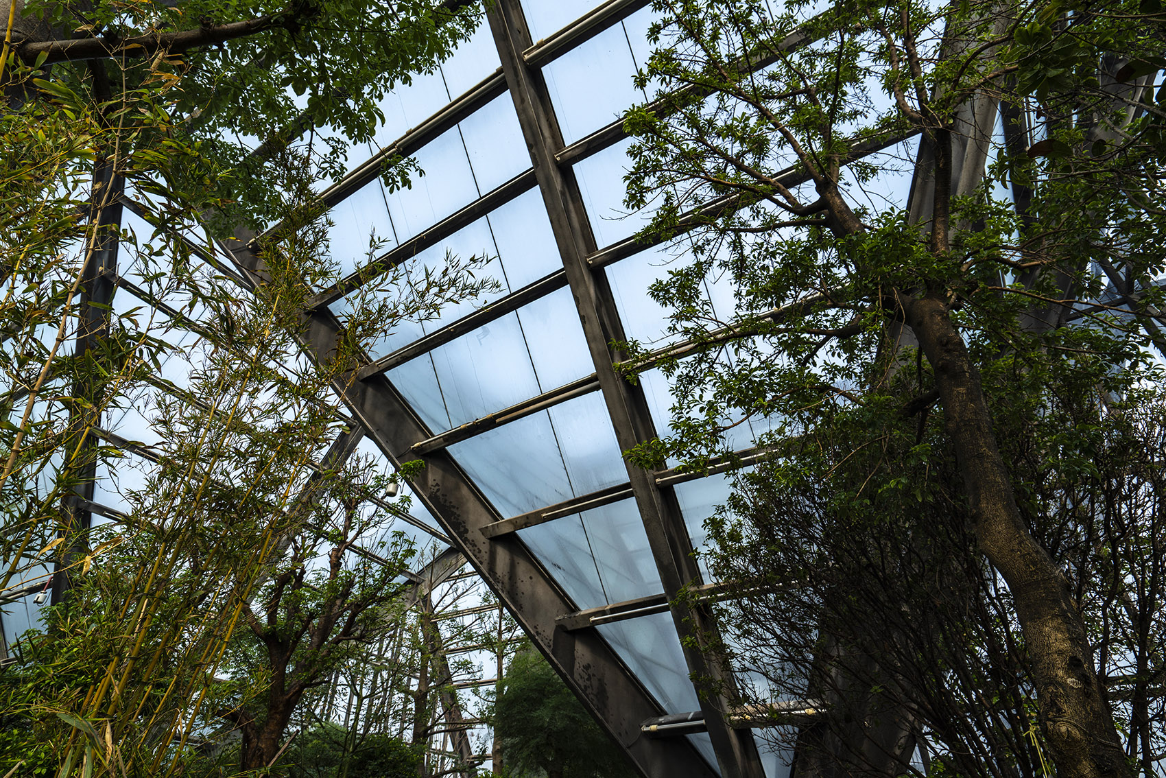 Hengshui Botanical Garden Greenhouse Exhibition Hall, China by Interval ...