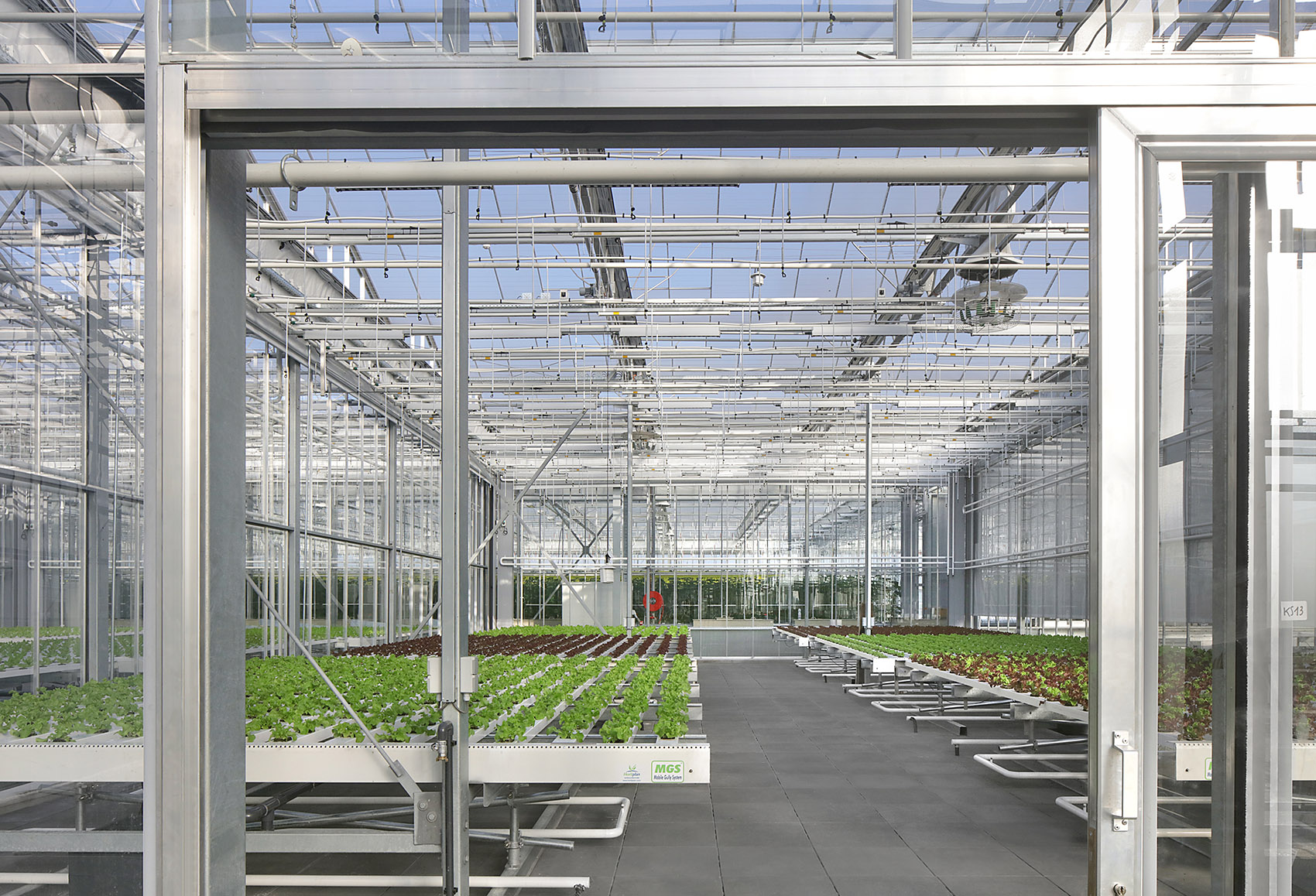Rooftop Greenhouse Agrotopia – Research center for urban horticulture ...