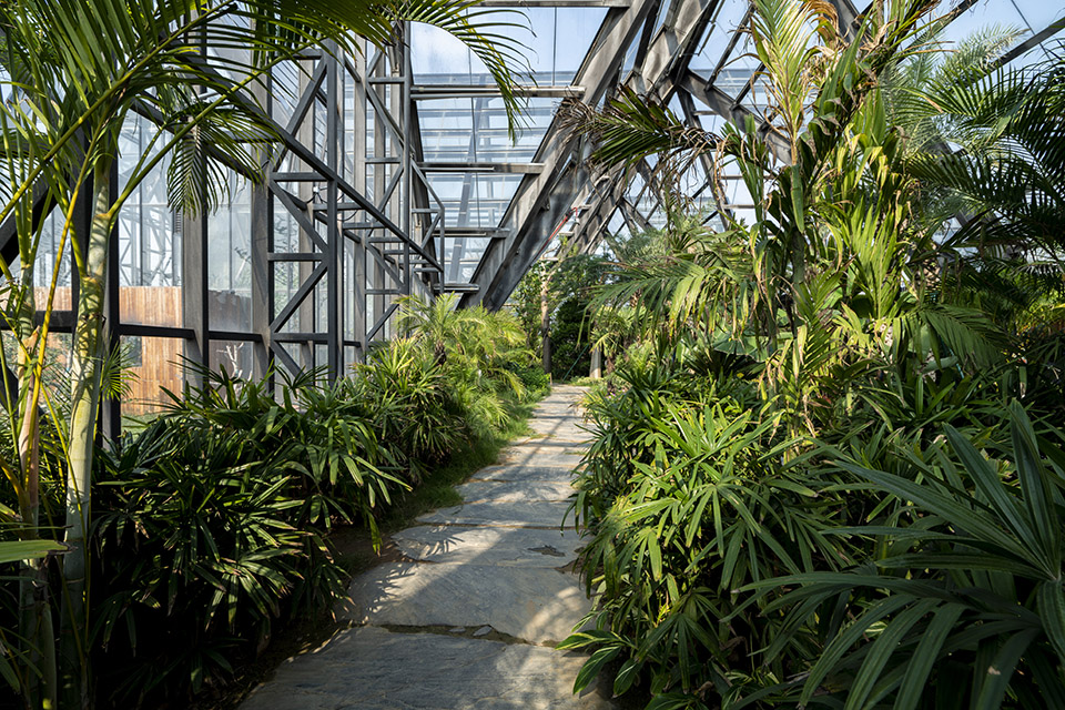 Hengshui Botanical Garden Greenhouse Exhibition Hall, China by Interval ...