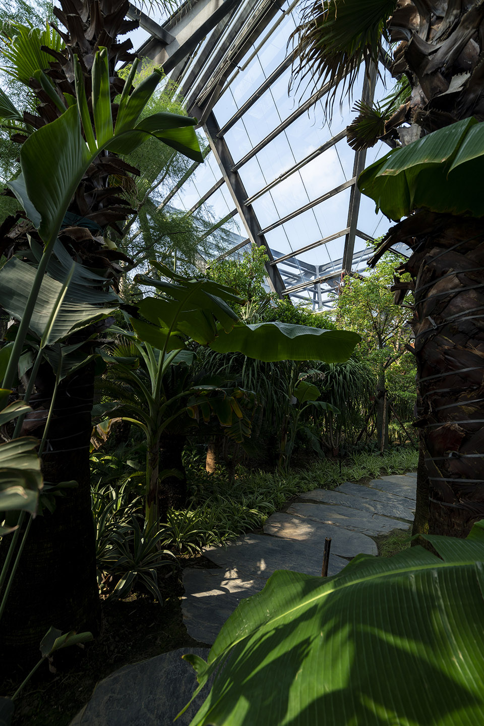 Hengshui Botanical Garden Greenhouse Exhibition Hall, China by Interval ...