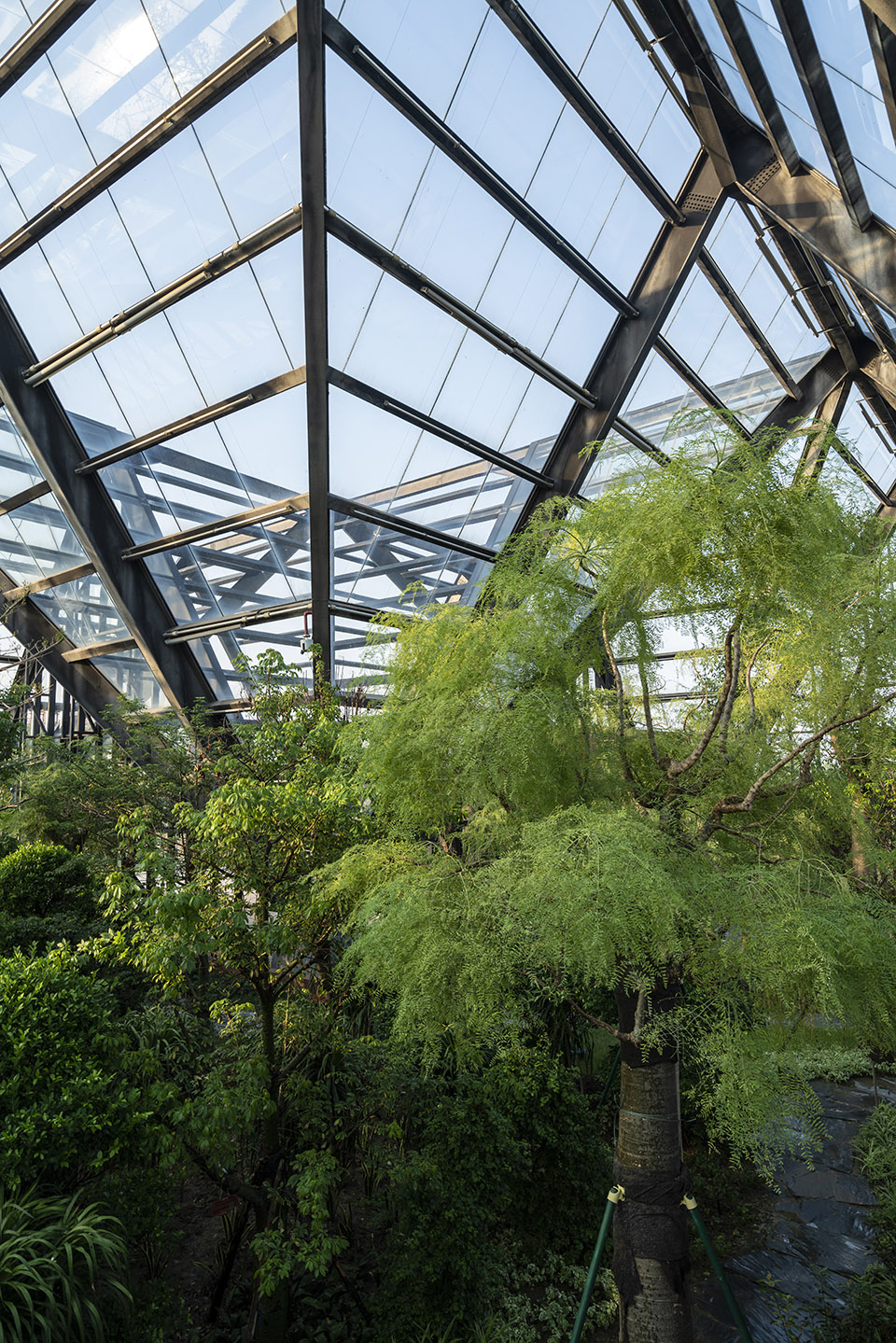 Hengshui Botanical Garden Greenhouse Exhibition Hall, China by Interval ...