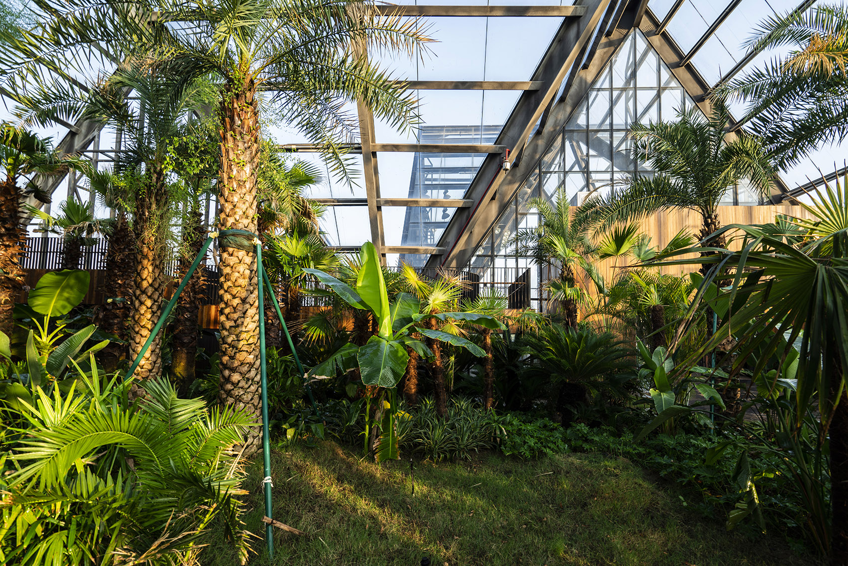 Hengshui Botanical Garden Greenhouse Exhibition Hall, China by Interval ...