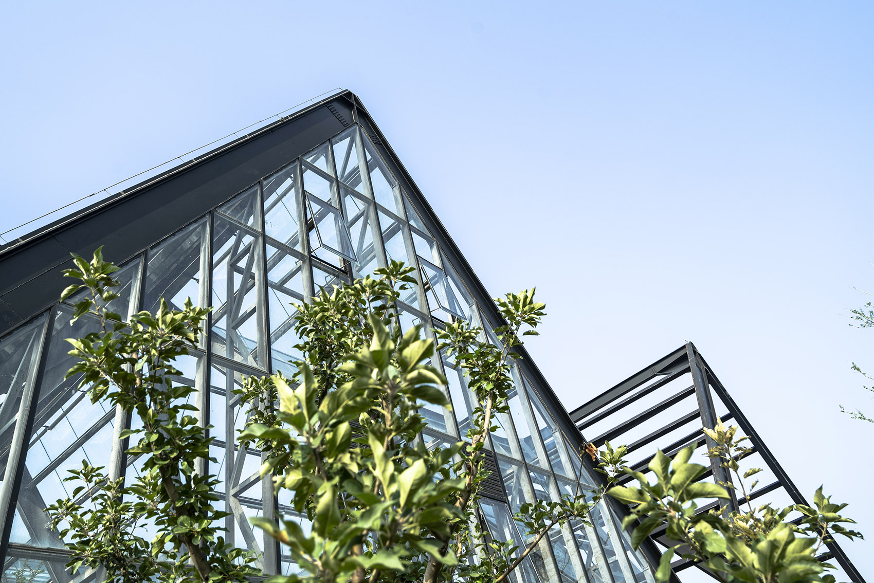 Hengshui Botanical Garden Greenhouse Exhibition Hall, China by Interval ...