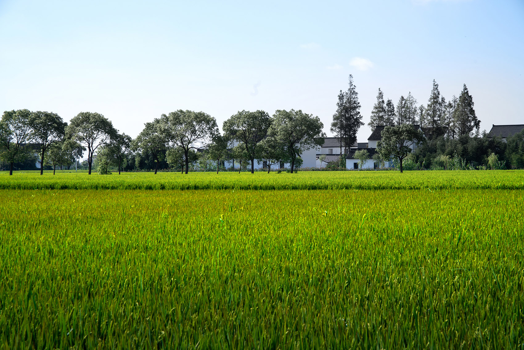 Low-cost Whole Village Renovation: Rural Vitalization of Liyao Village ...