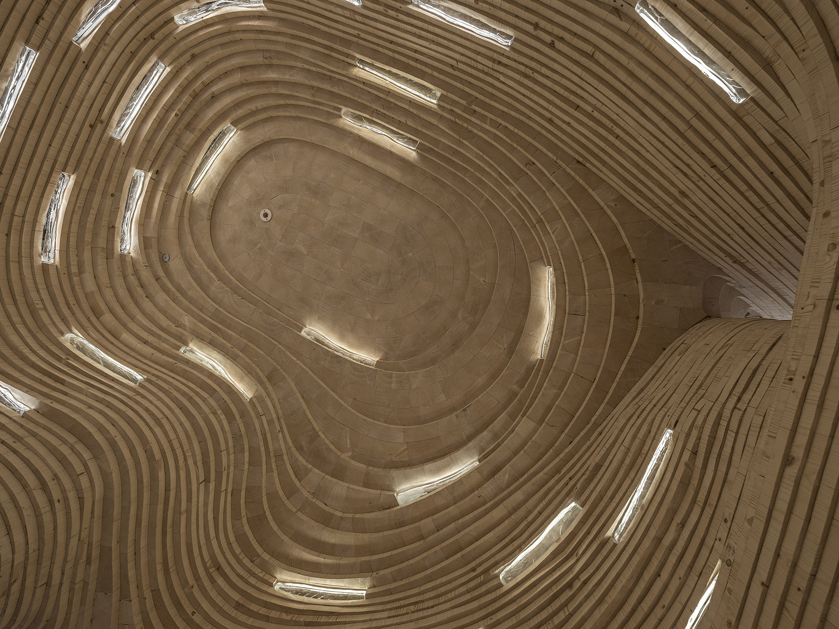 Future Library, Silent Room by Katie Paterson + Atelier Oslo + Lund ...