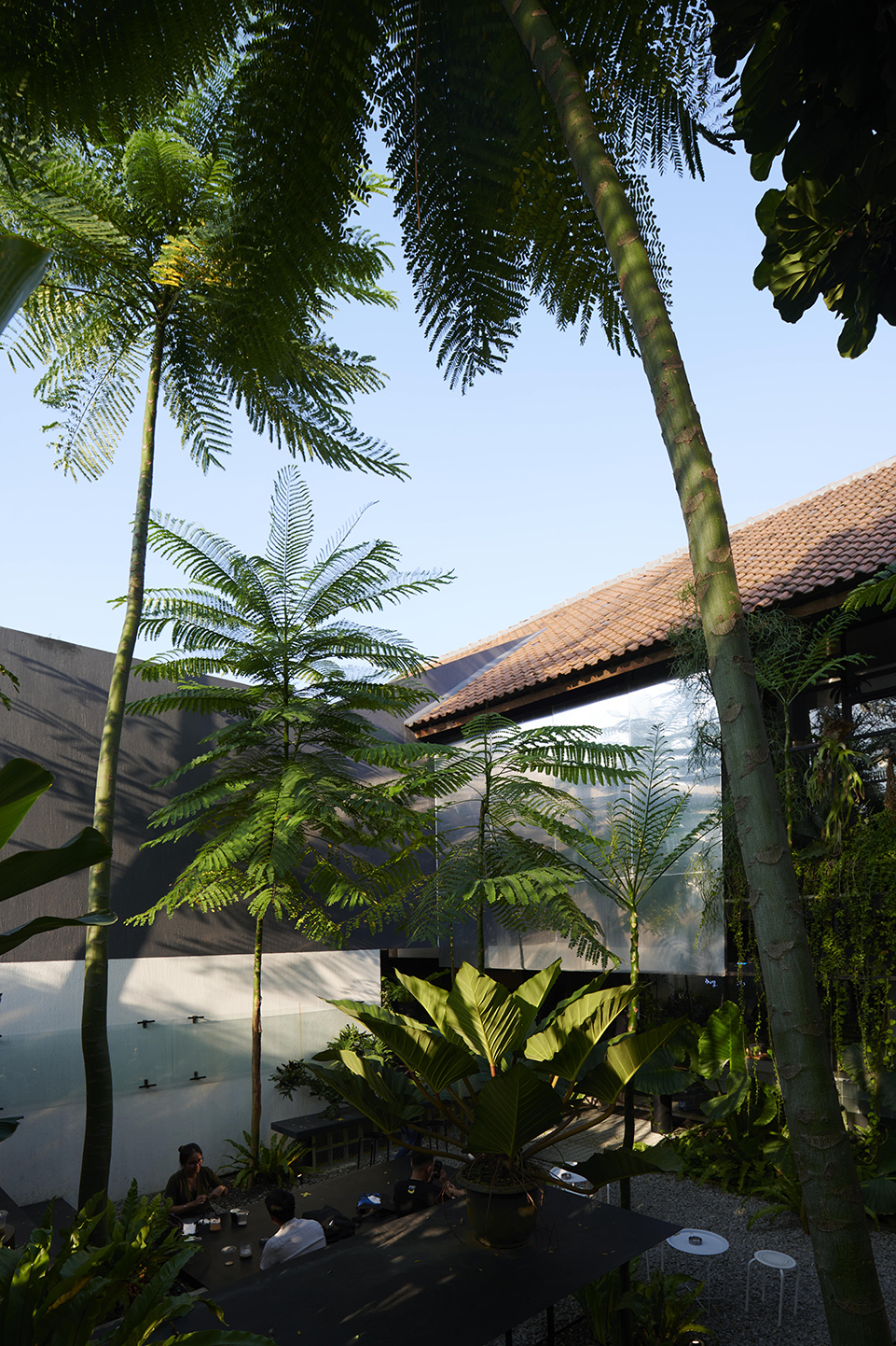 Micro Tropicality, RAD+ar HQ by RAD+ar - 谷德设计网