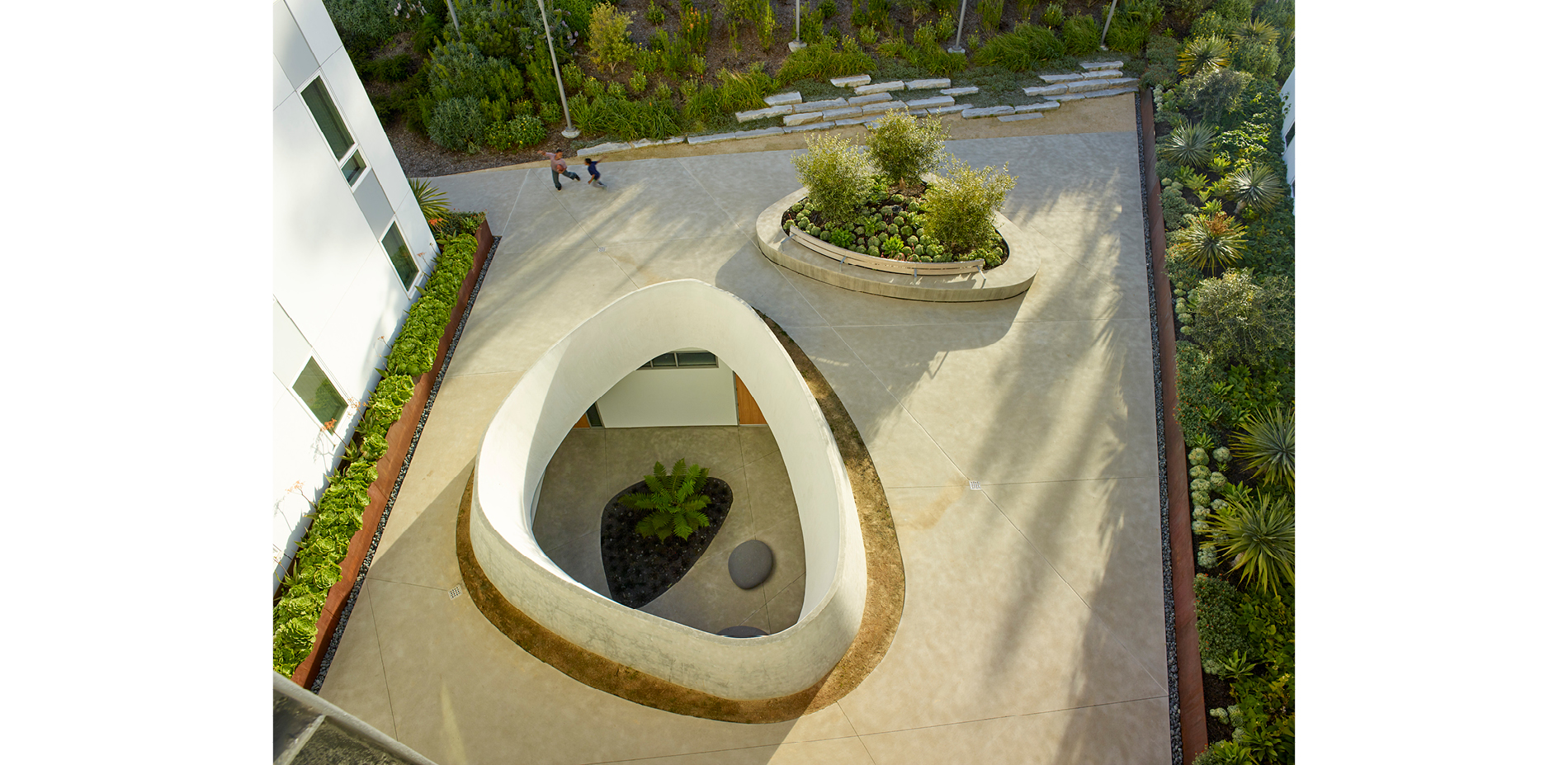 2020 ASLA RESIDENTIAL DESIGN AWARD OF HONOR: 901 Fairfax Hunters View ...