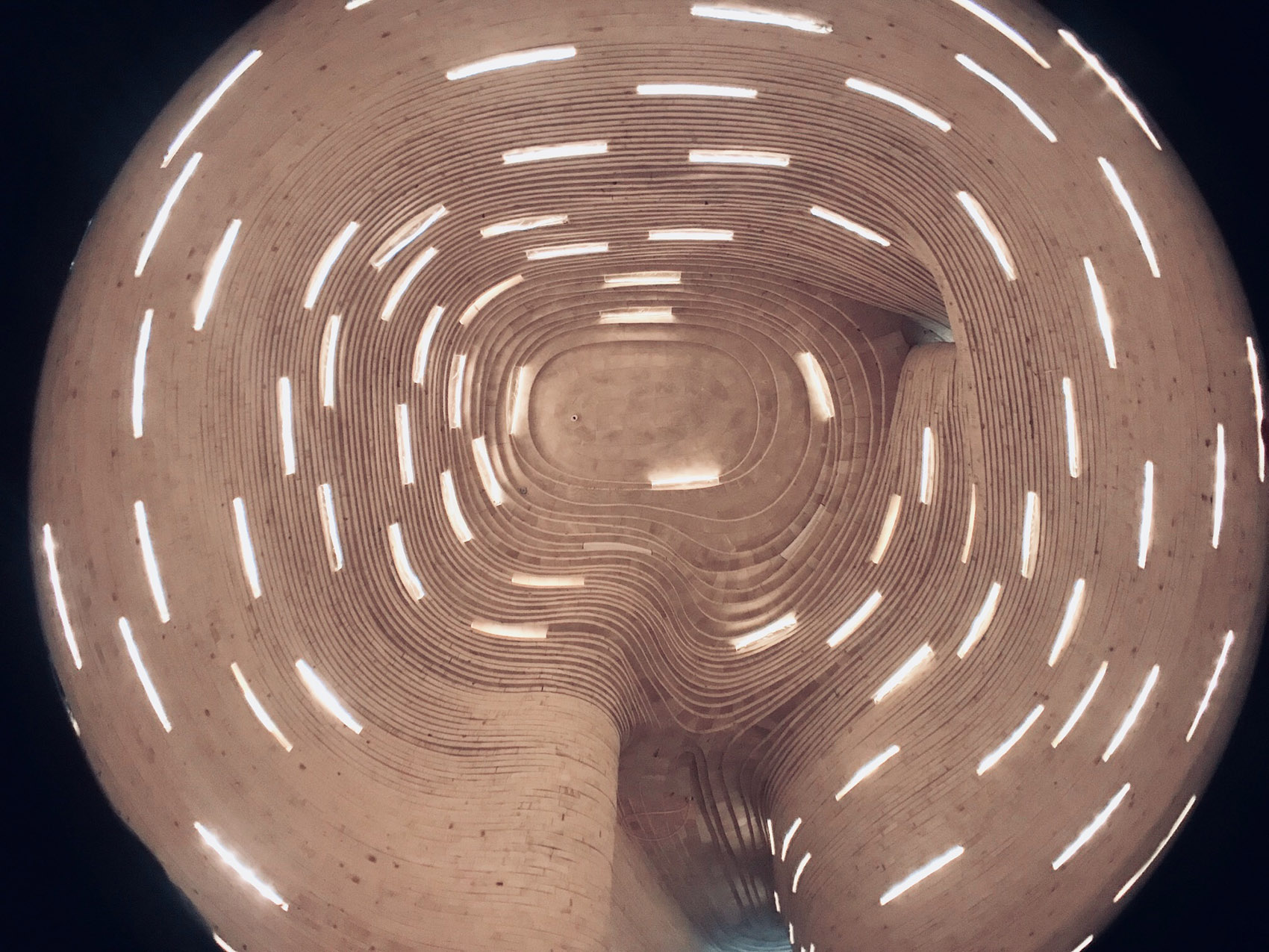 Future Library, Silent Room by Katie Paterson + Atelier Oslo + Lund ...