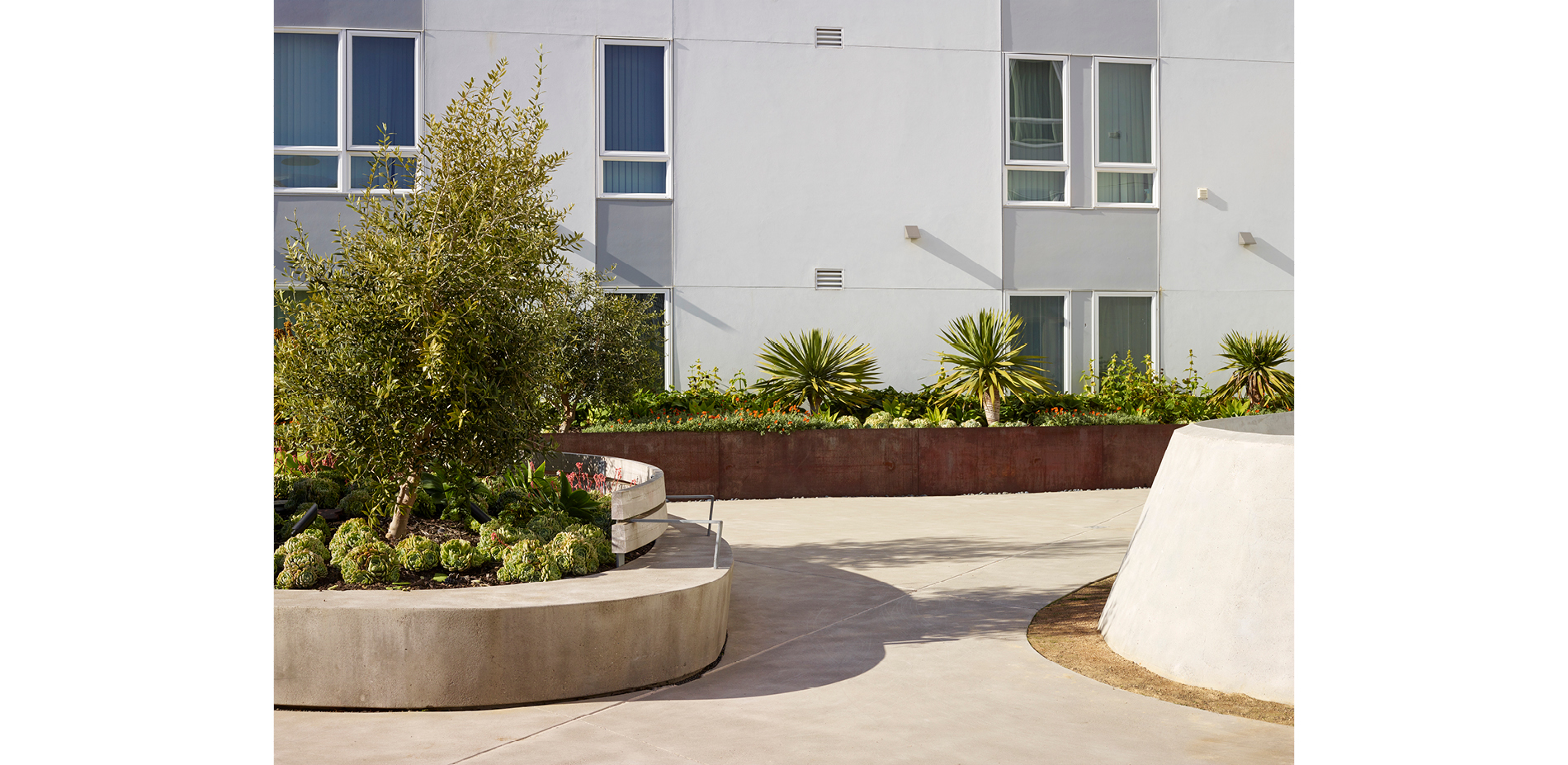2020 ASLA RESIDENTIAL DESIGN AWARD OF HONOR: 901 Fairfax Hunters View ...