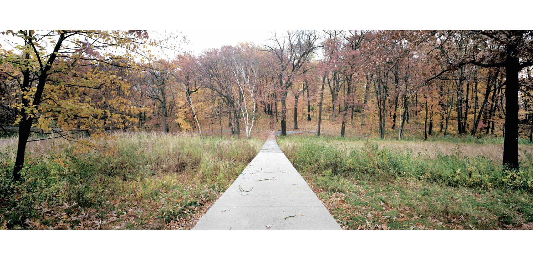 2020 ASLA RESIDENTIAL DESIGN AWARD OF HONOR: Lake Marion Residence ...