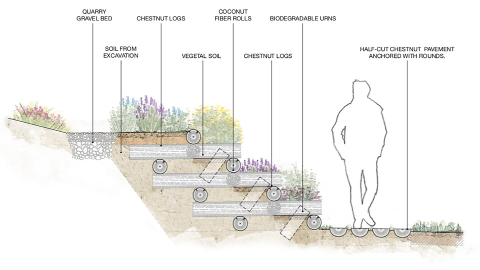 Forest Path in the Roques Blanques Cemetery in the Collserola Natural ...