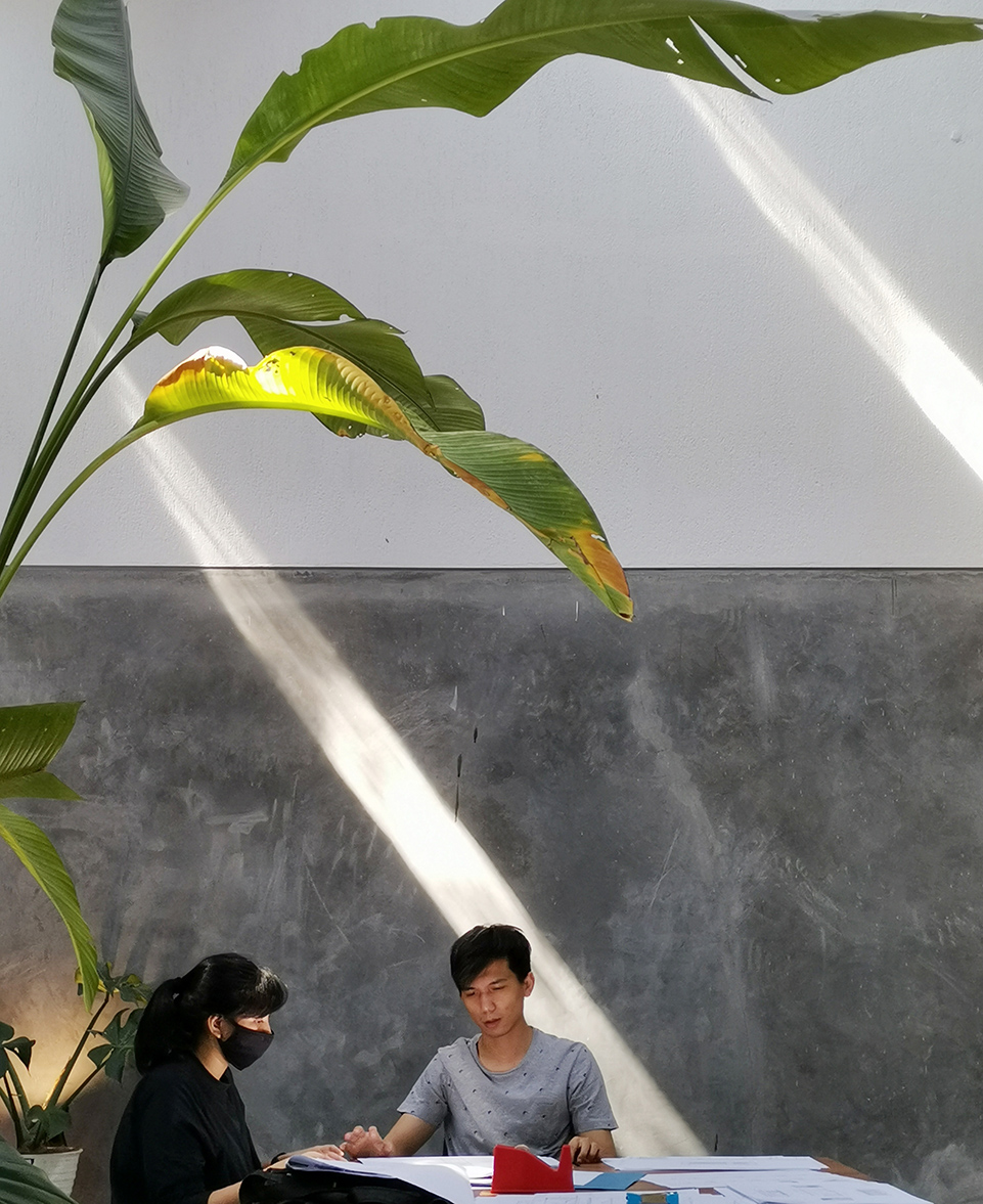 Micro Tropicality, RAD+ar HQ by RAD+ar - 谷德设计网