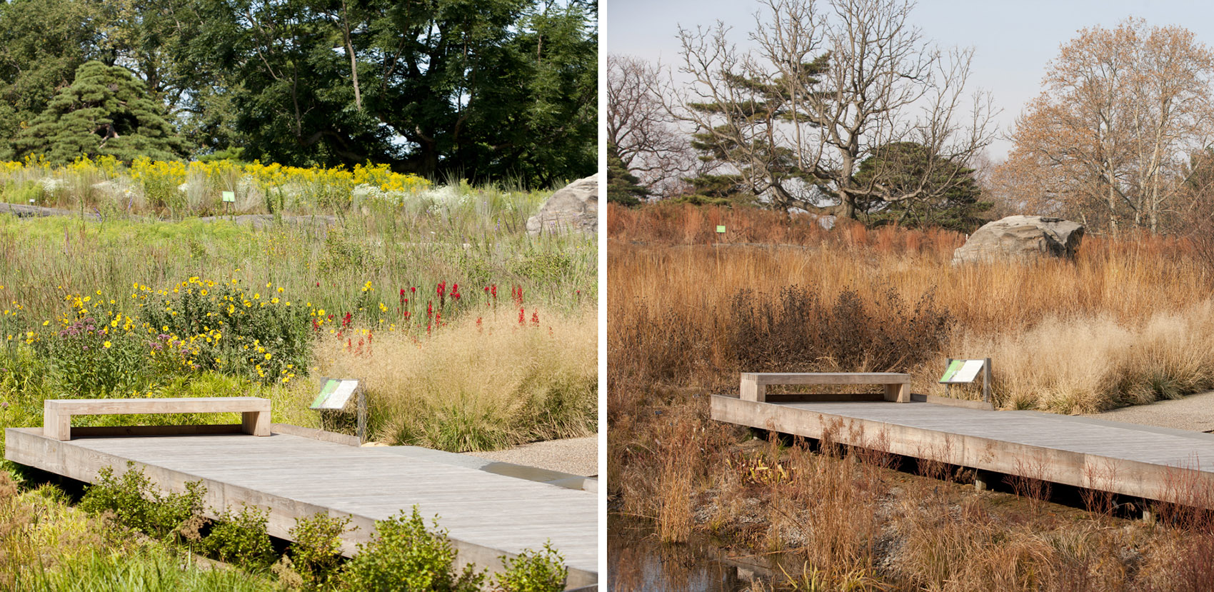 2020 ASLA GENERAL DESIGN AWARD OF HONOR: The Native Plant Garden at The ...