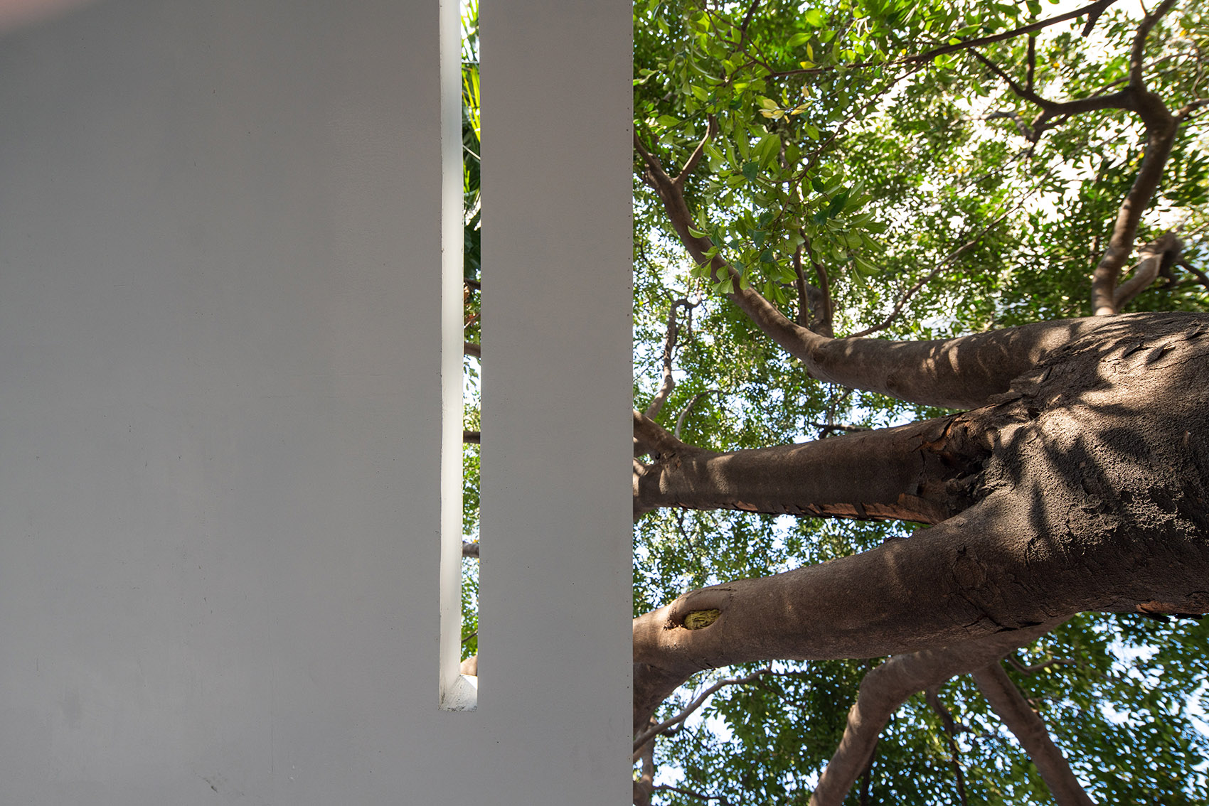 Under 35 – Ju Anqi - 谷德设计网