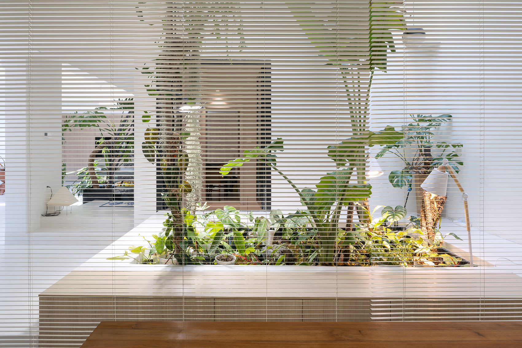 Plant House by manman design studio - 谷德设计网