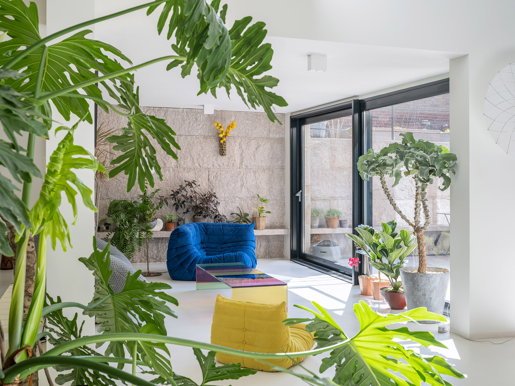 Plant House by manman design studio - 谷德设计网