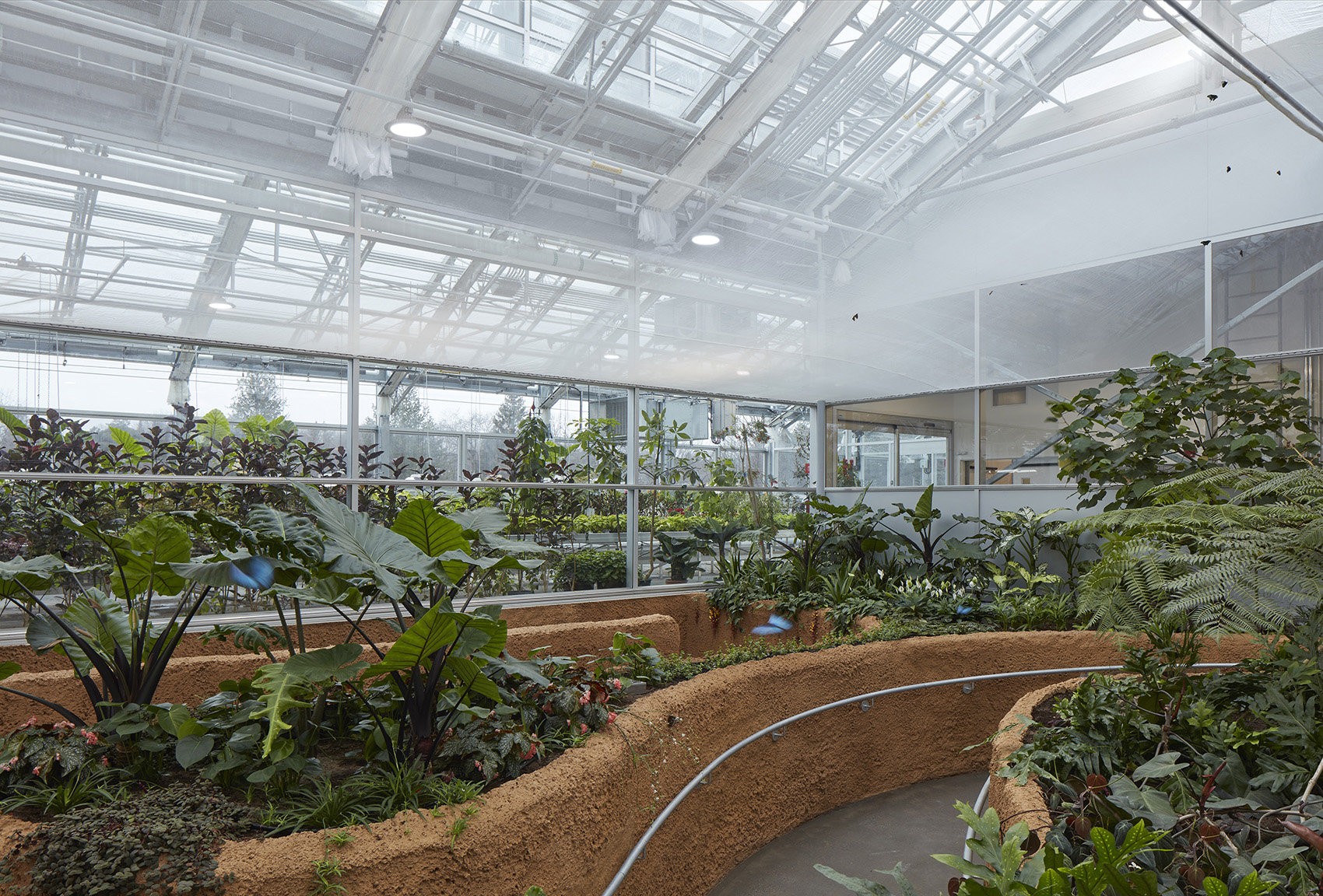 New Montreal Insectarium by Kuehn Malvezzi - 谷德设计网