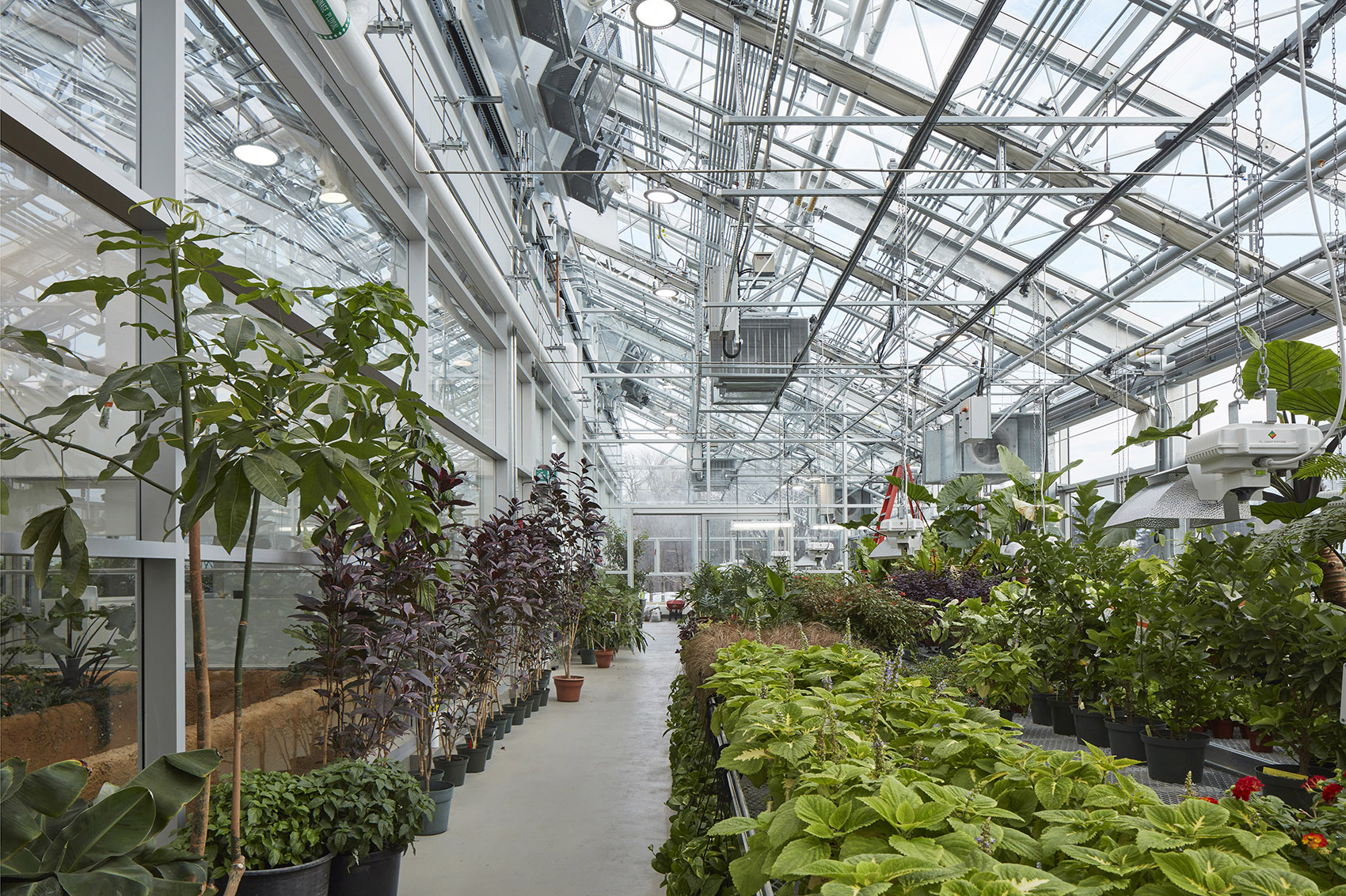 New Montreal Insectarium by Kuehn Malvezzi - 谷德设计网