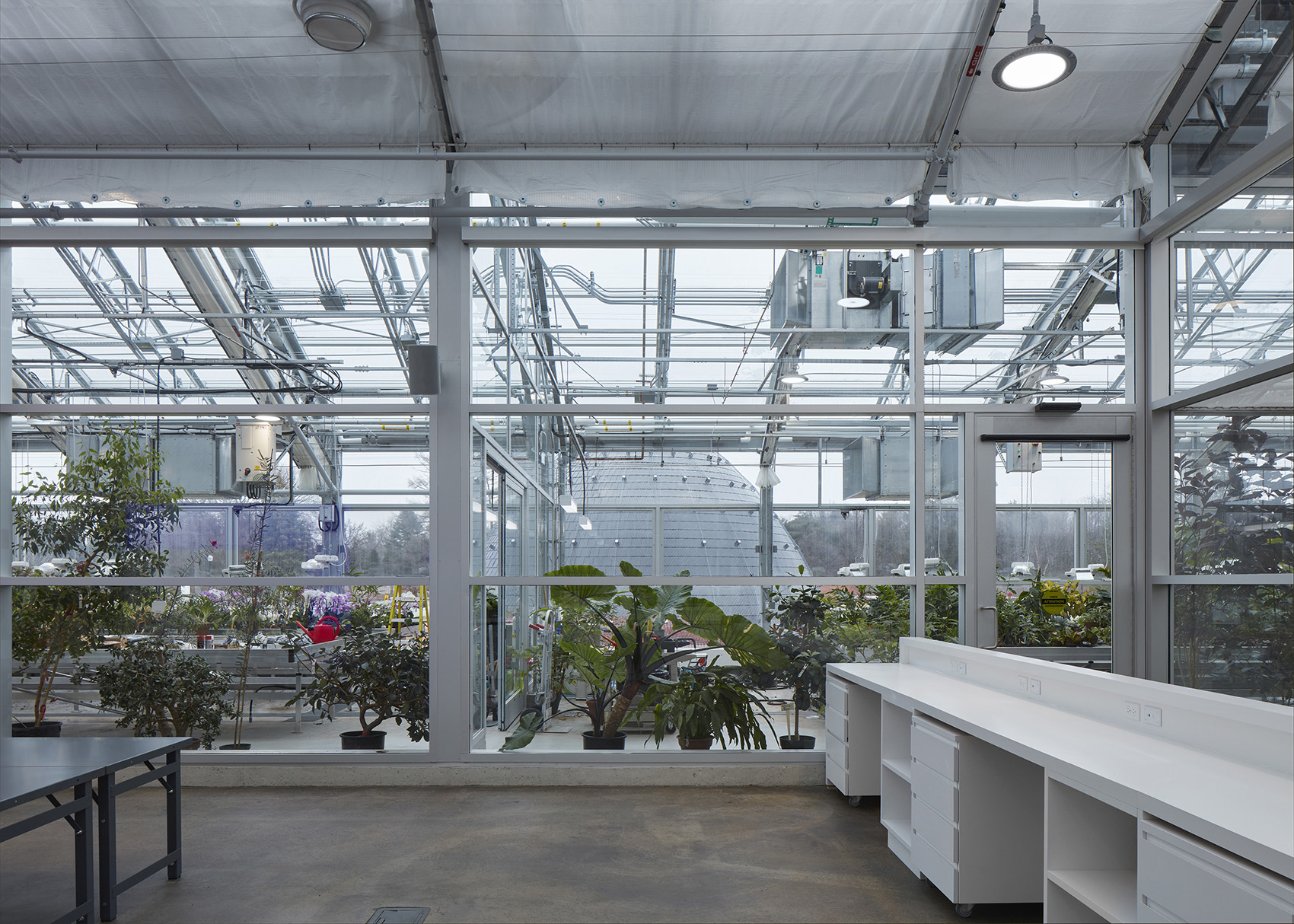 New Montreal Insectarium by Kuehn Malvezzi - 谷德设计网