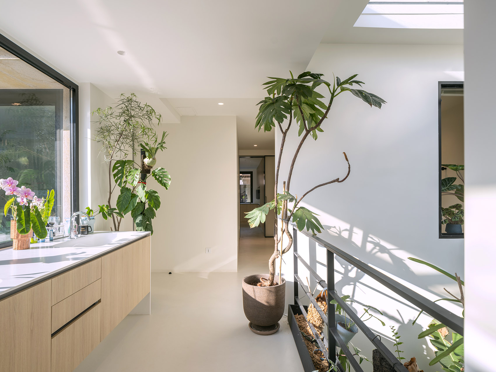 Plant House by manman design studio - 谷德设计网