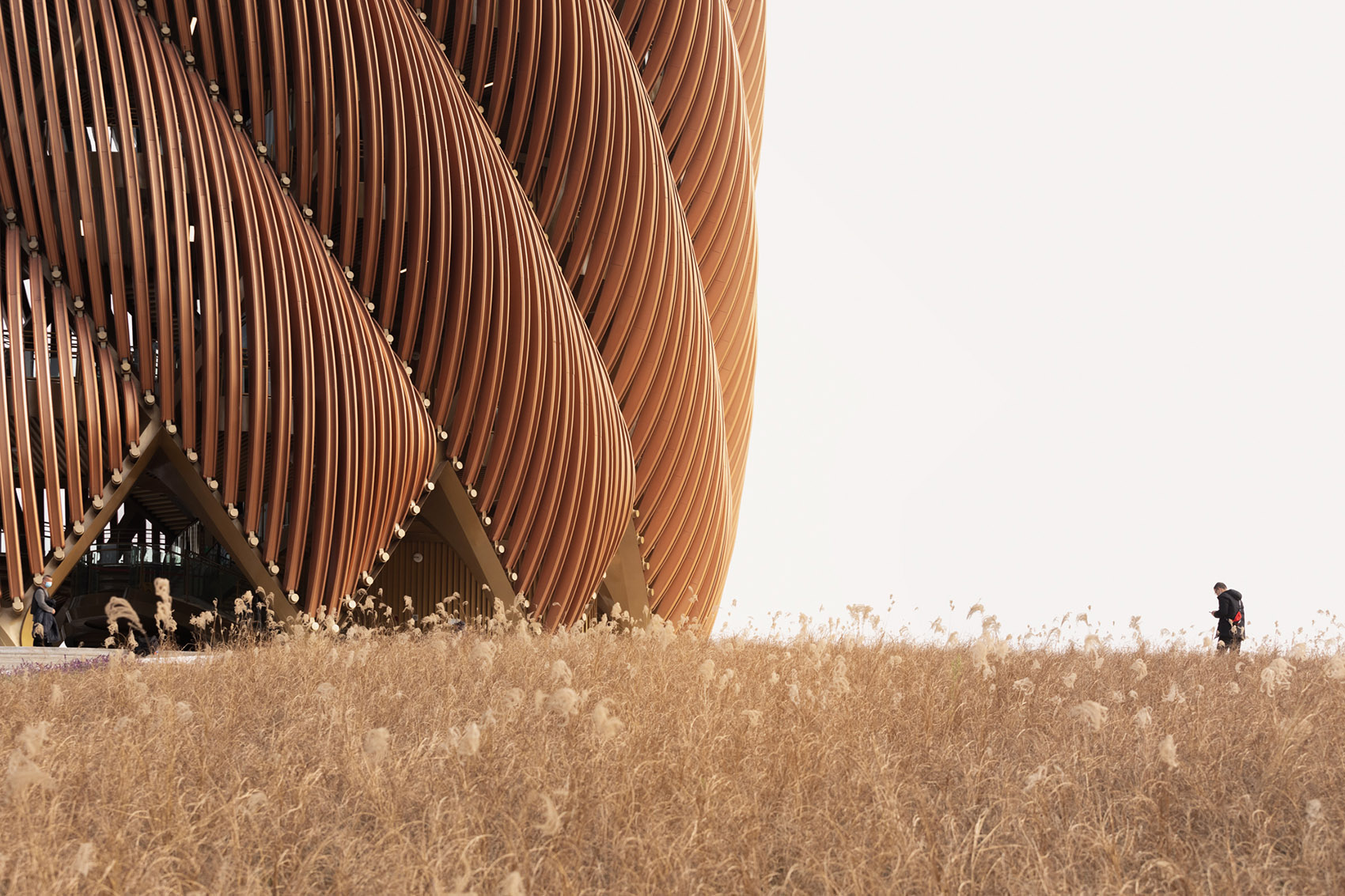 Panda Tower in Chengdu Research Base of Giant Panda Breeding, China by ...