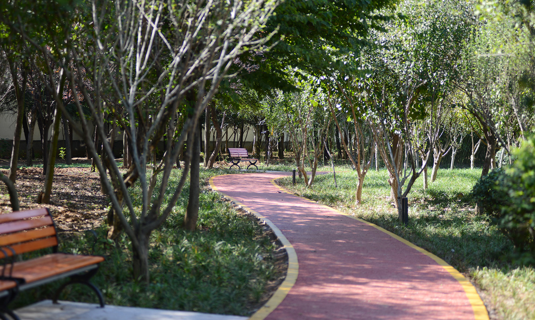 Science & Technology Innovation Green Corridor (Phase I), China by Tong ...