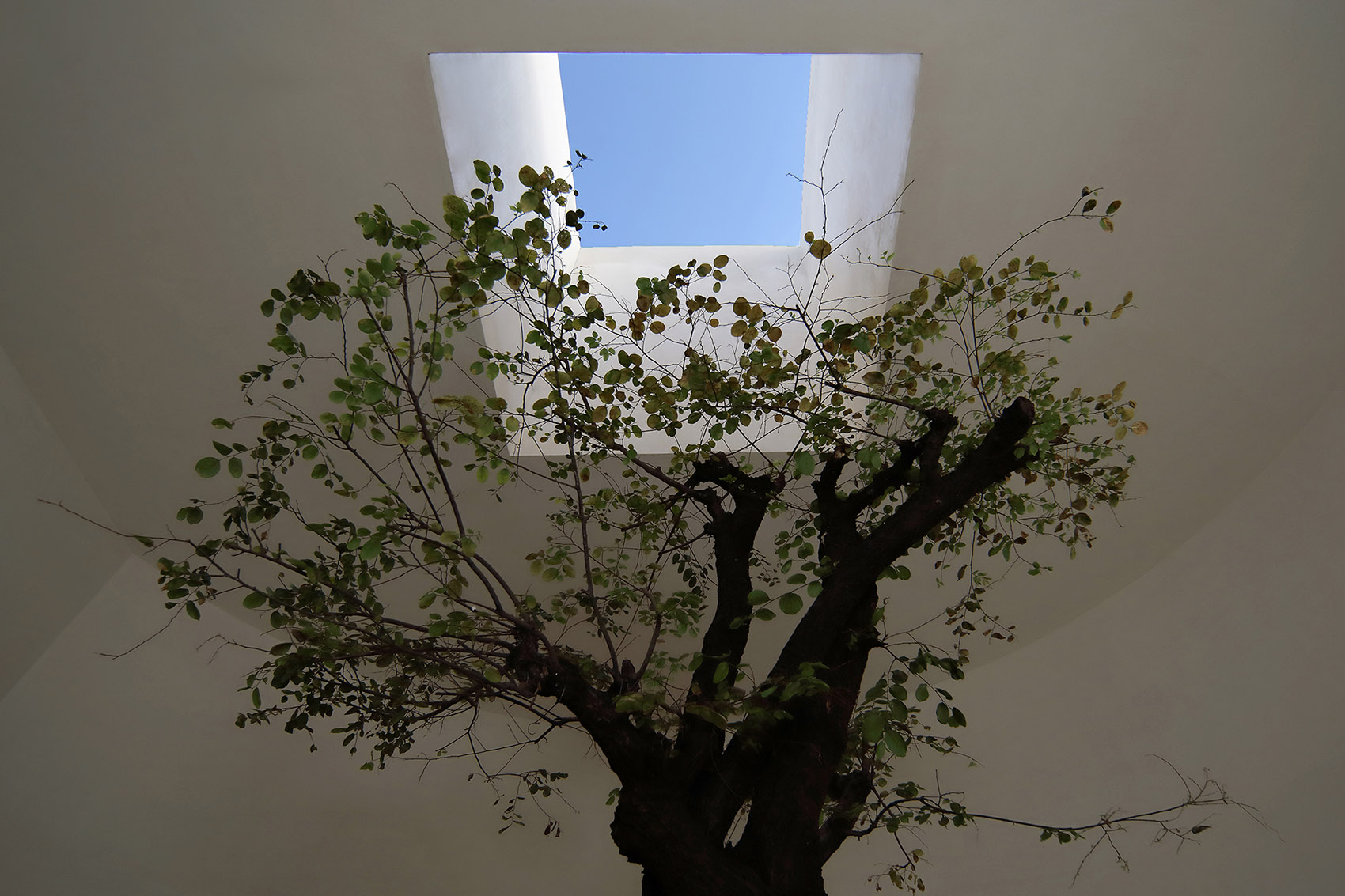 Buduo Teahouse, Xiamen, China by Wanmu Shazi - 谷德设计网
