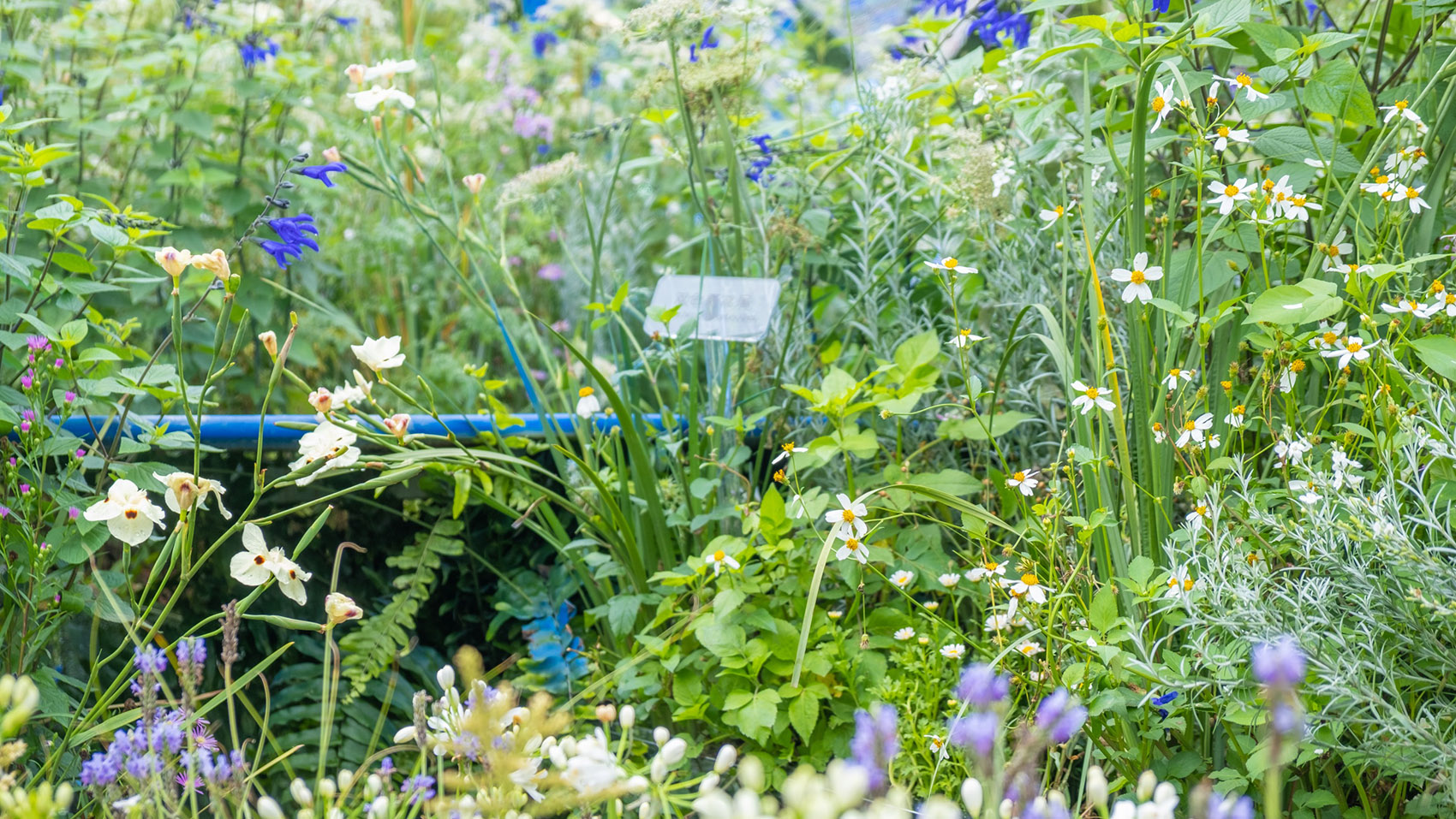 Boundlessness, Shenzhen by Lin Junying Landscape Studio & ZYEEN - 谷德设计网