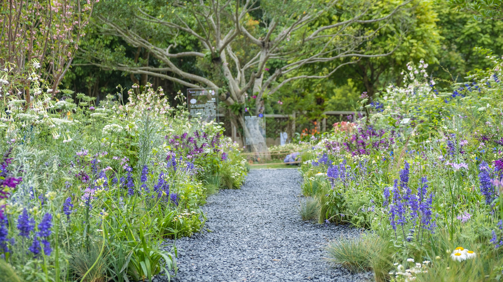 Boundlessness, Shenzhen by Lin Junying Landscape Studio & ZYEEN - 谷德设计网