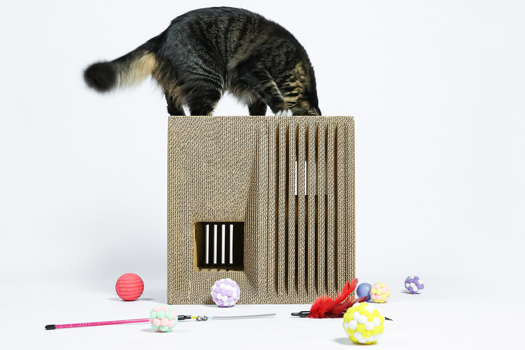 Cat Cubic Series by Lei Du - 谷德设计网