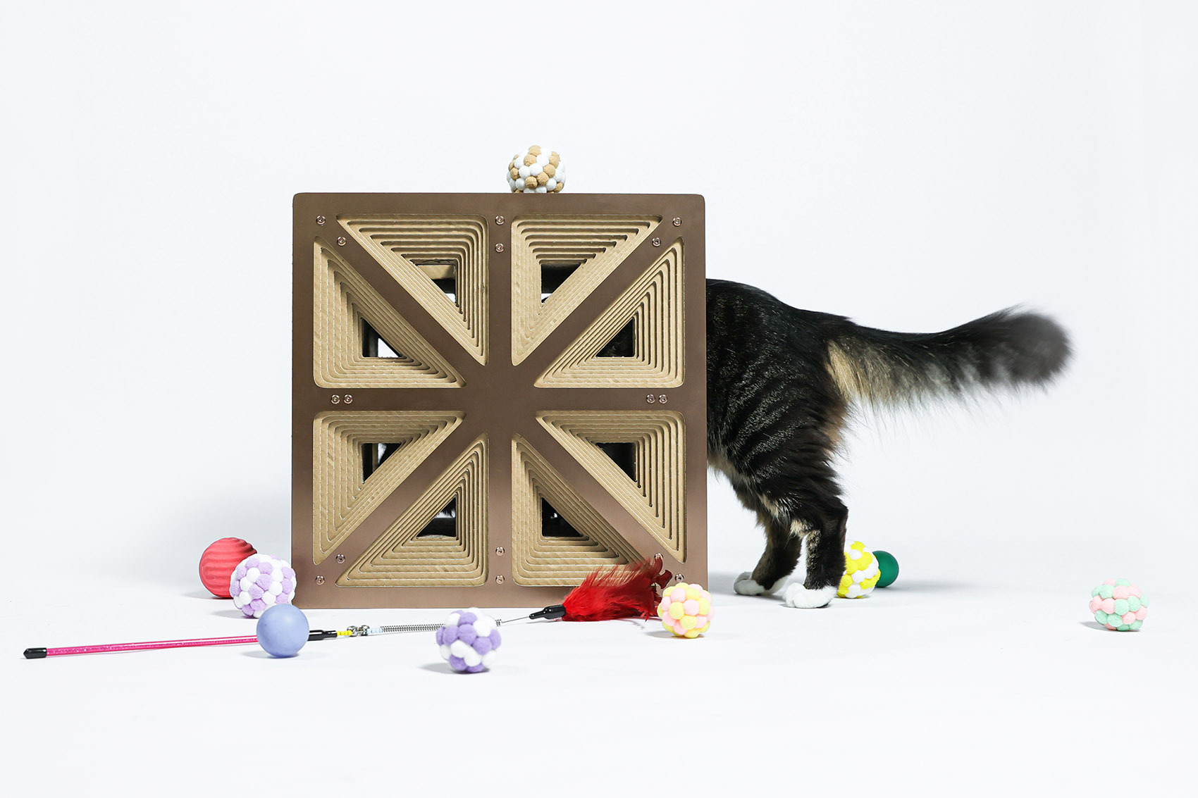 Cat Cubic Series by Lei Du - 谷德设计网