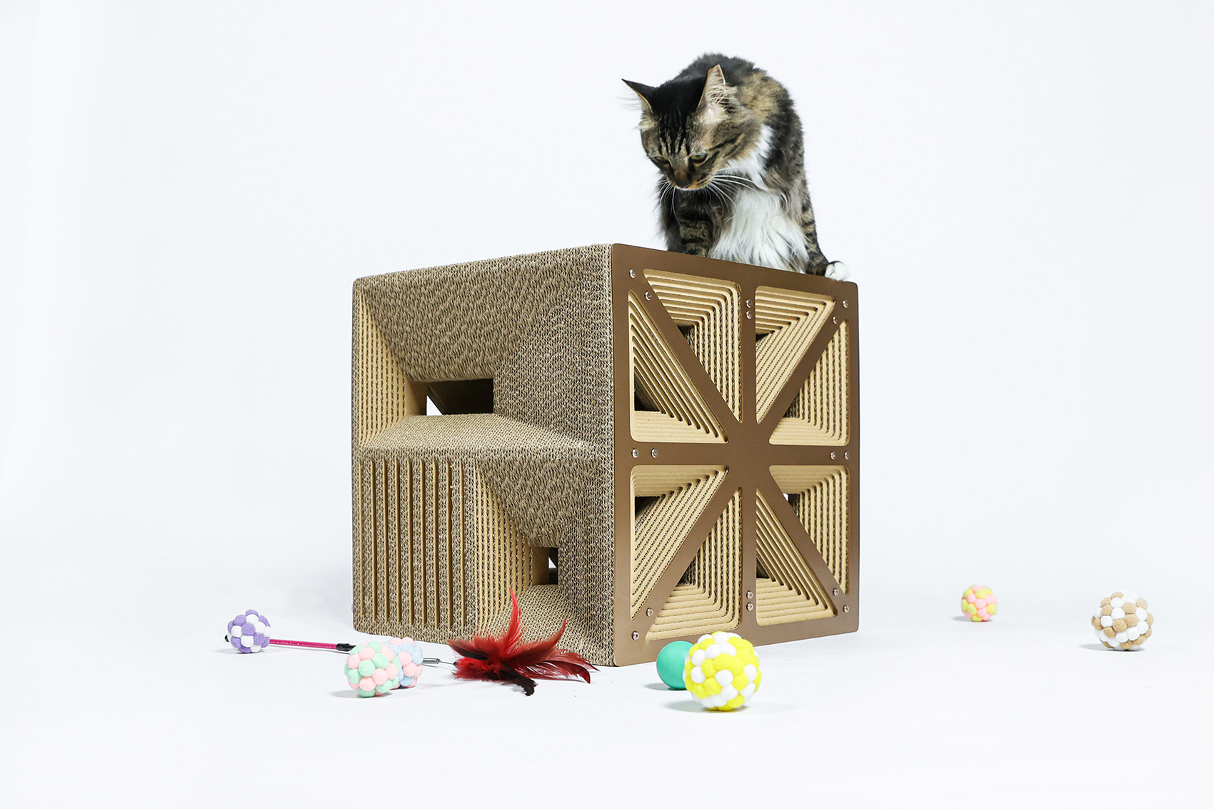 Cat Cubic Series by Lei Du - 谷德设计网