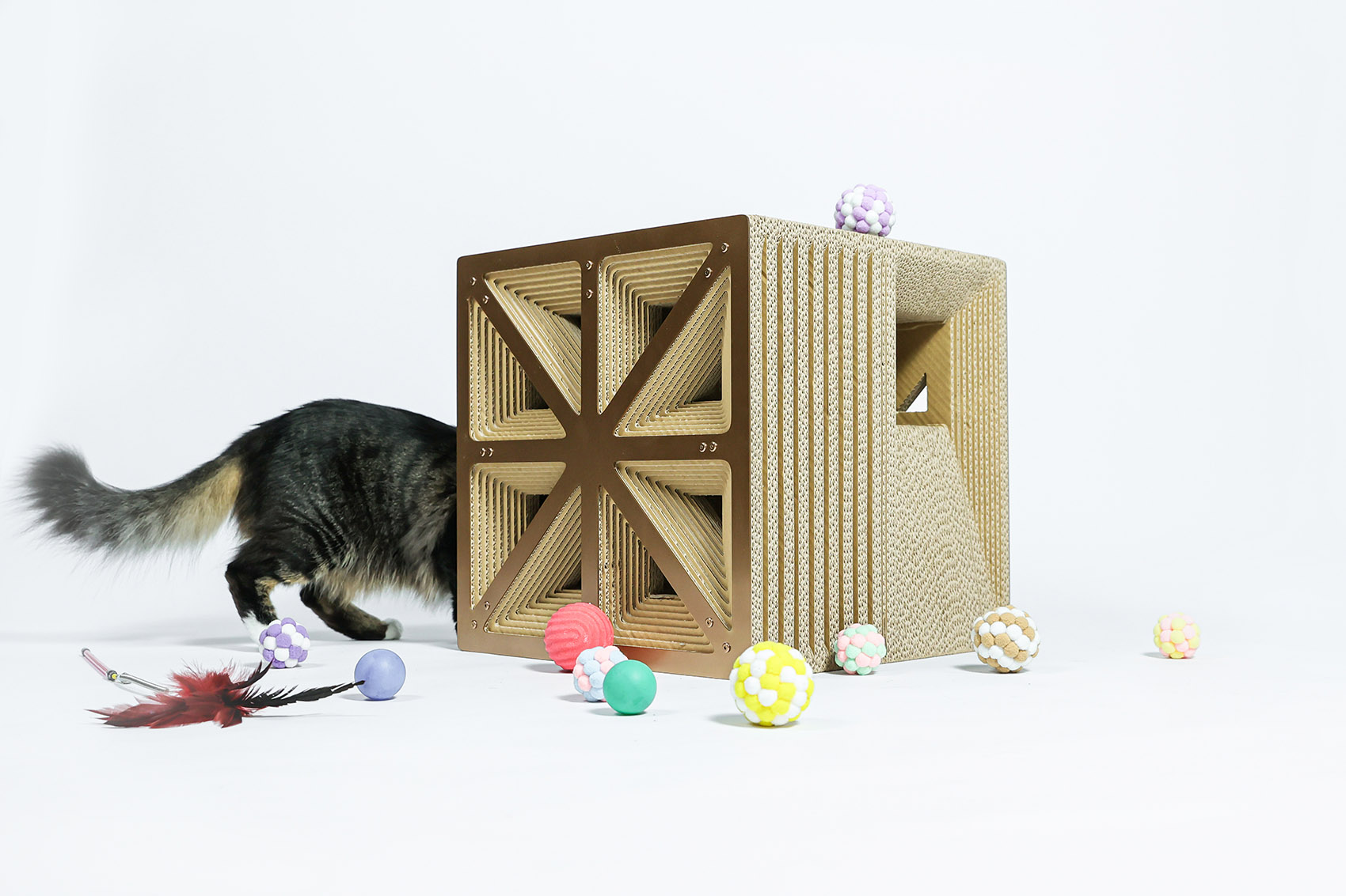 Cat Cubic Series by Lei Du - 谷德设计网