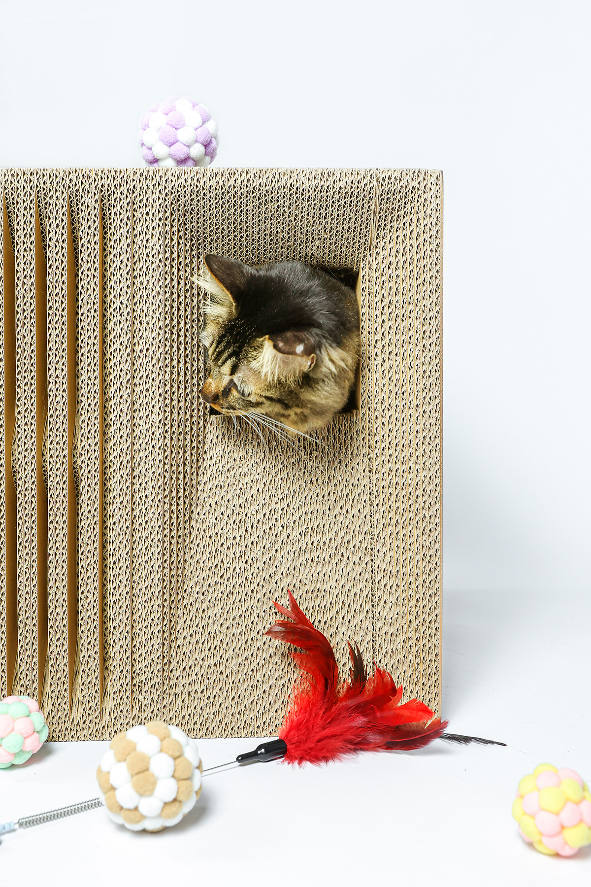 Cat Cubic Series by Lei Du - 谷德设计网