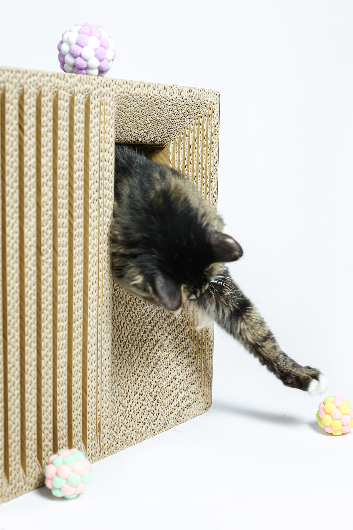 Cat Cubic Series by Lei Du - 谷德设计网