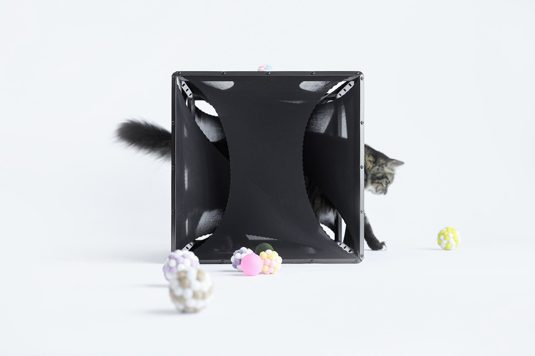 Cat Cubic Series by Lei Du - 谷德设计网