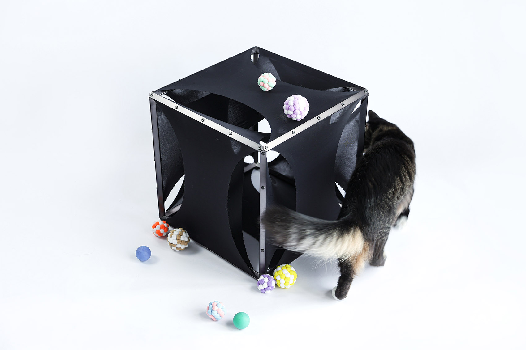 Cat Cubic Series by Lei Du - 谷德设计网