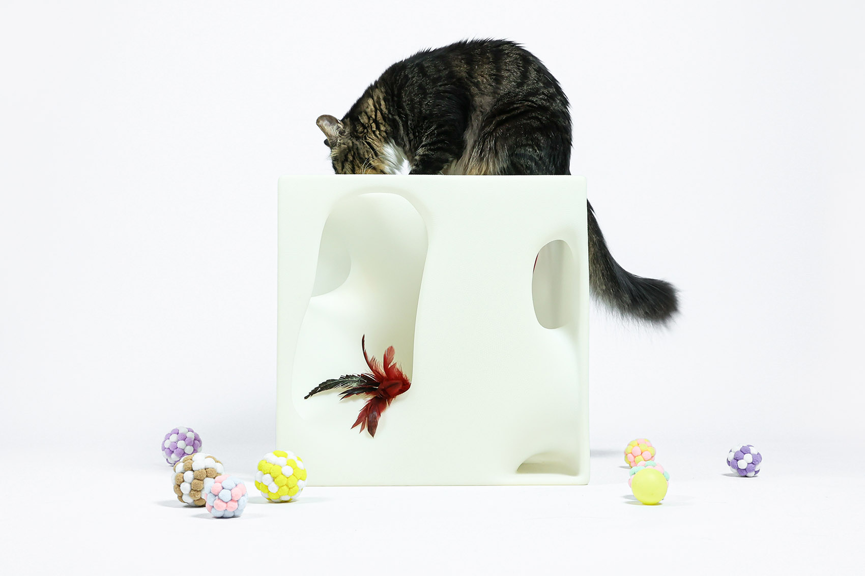 Cat Cubic Series by Lei Du - 谷德设计网