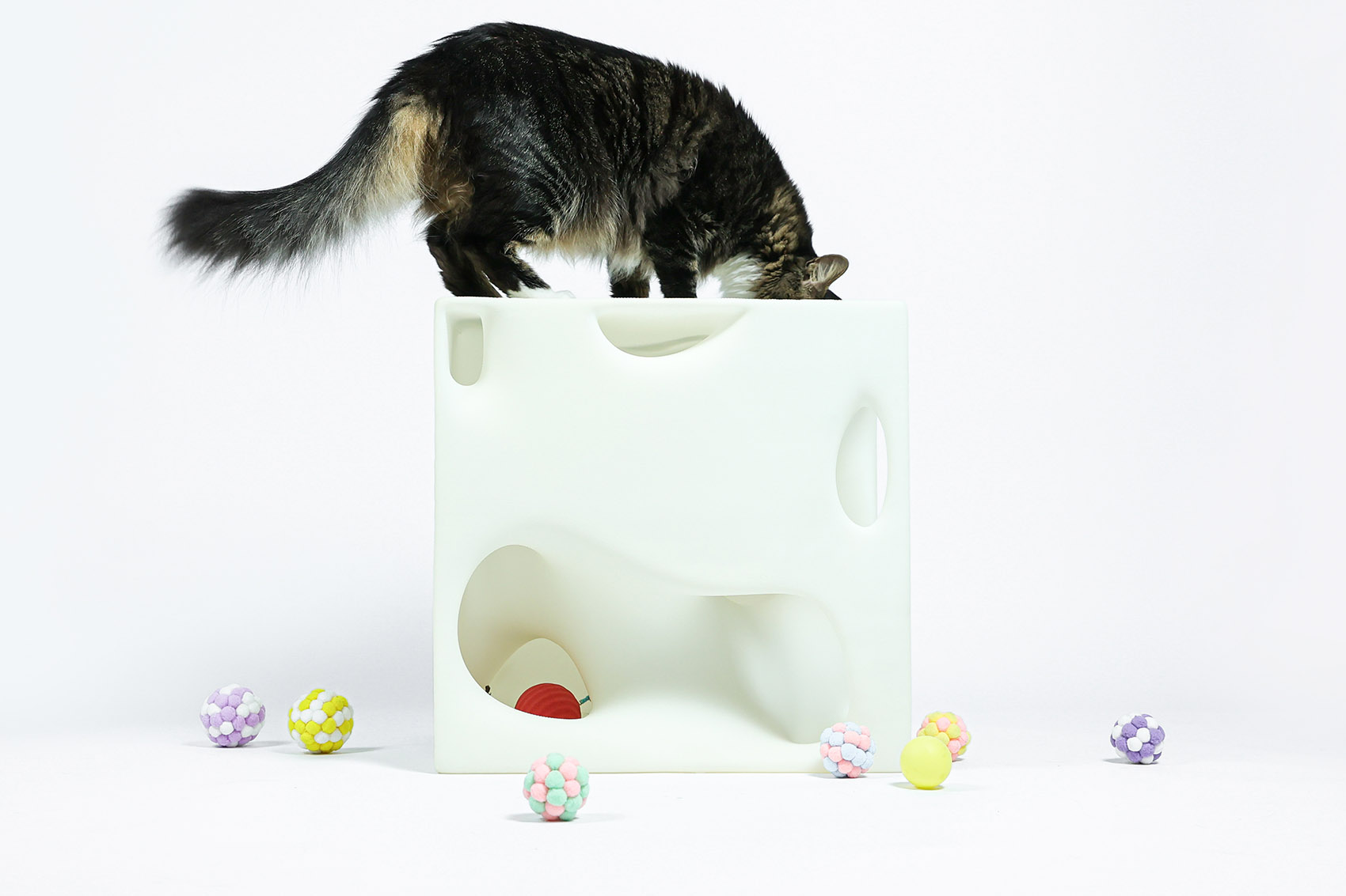 Cat Cubic Series by Lei Du - 谷德设计网