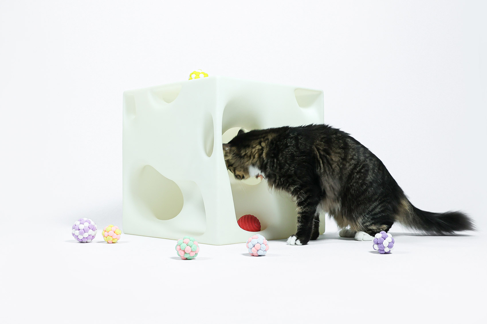 Cat Cubic Series by Lei Du - 谷德设计网