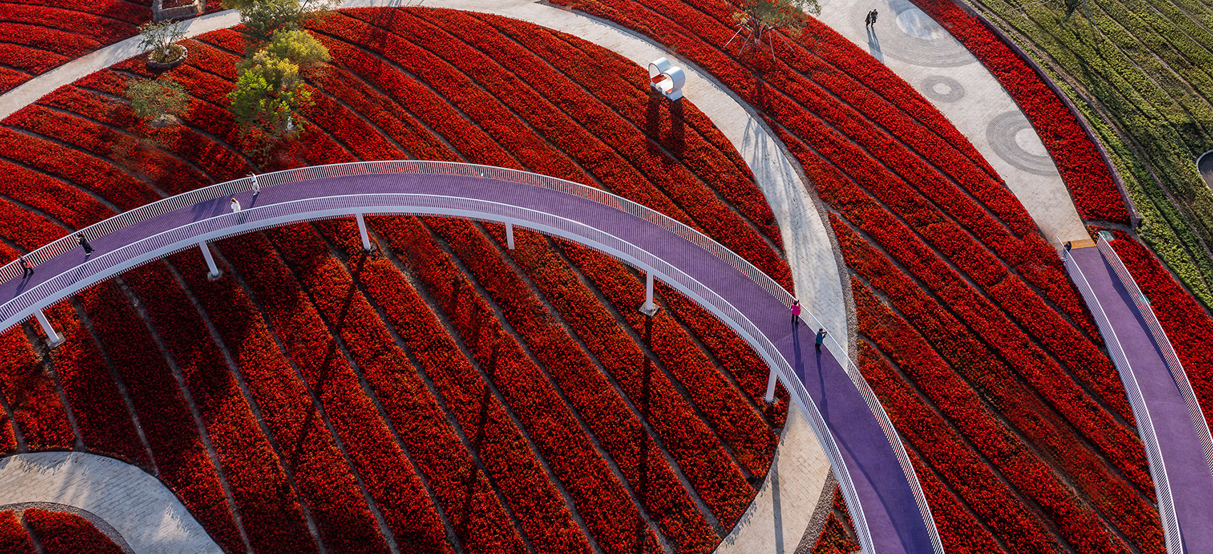 Meihekou Romantic Flower Sea Park, Jilin, China by MILAND DESIGN - 谷德设计网