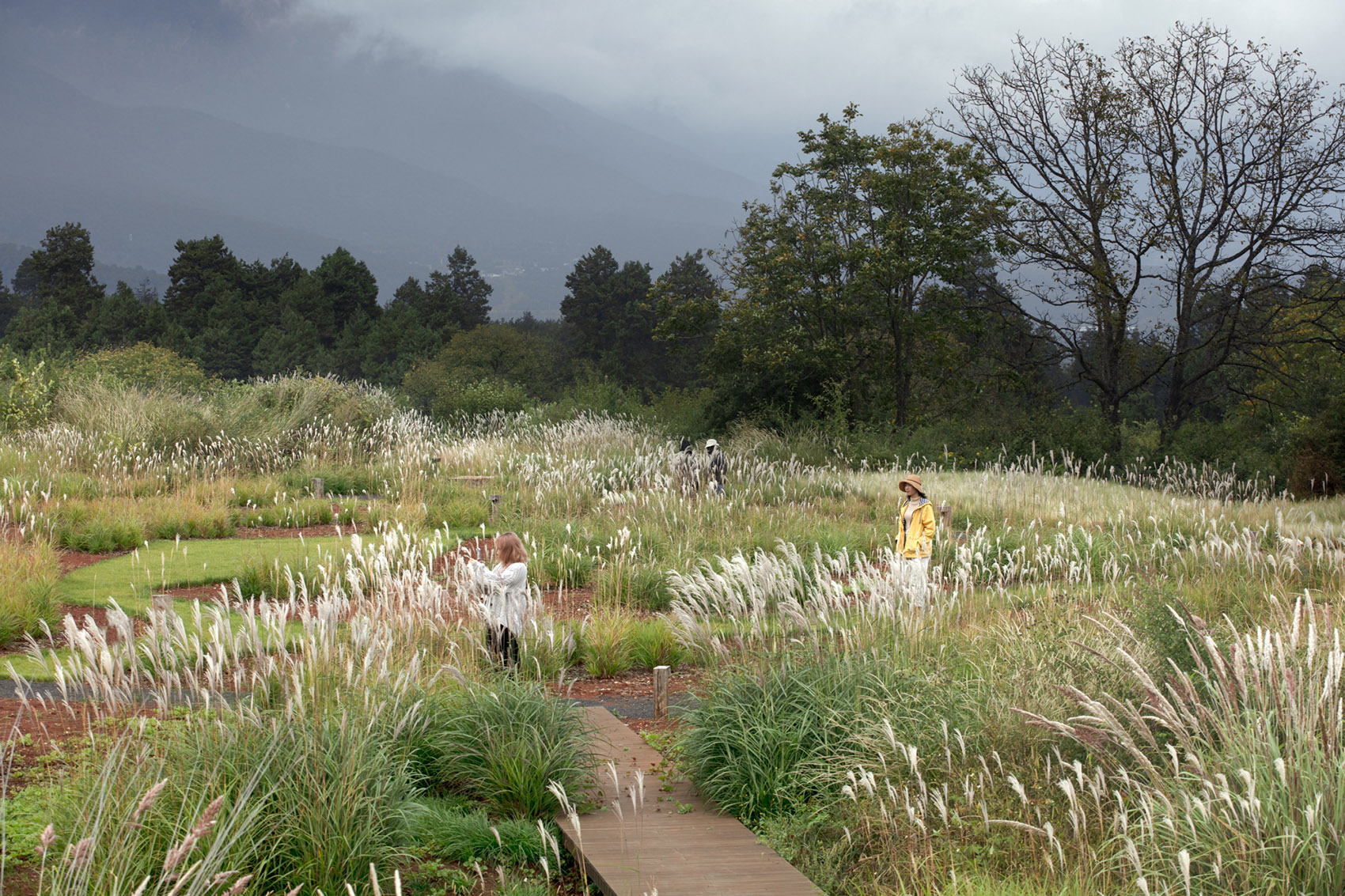 Wilderness Garden & Amphitheater, Lijiang HYLLA, China by Z’scape - 谷德设计网